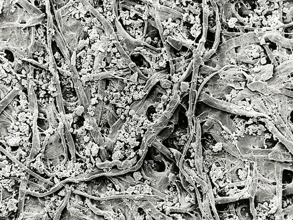 Filter Paper – Providing Filter Paper for Automotive Filters