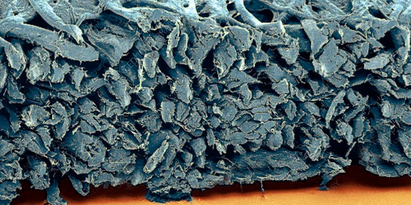 Filter Paper – Providing Filter Paper for Automotive Filters